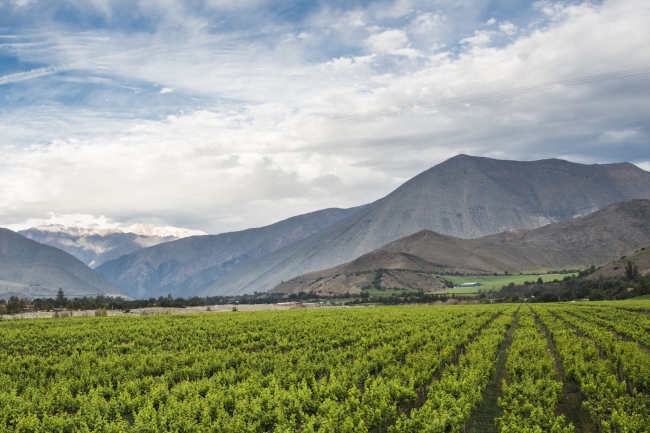 Die Talsohle durchschritten - CMS Blog